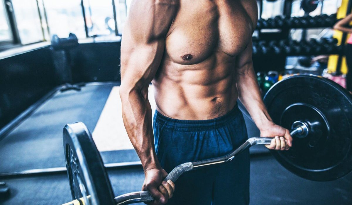 The muscle pump: Why your muscles look bigger during workouts ...