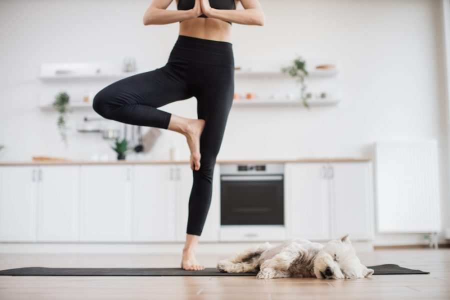 5 beginner-friendly asanas to kickstart your yoga journey ...